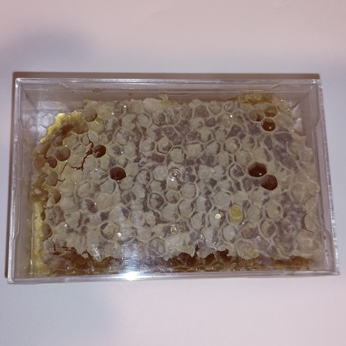 Pennsylvania Wildflower raw Cut Comb Honey 2”x 4” Honeycomb | eBay