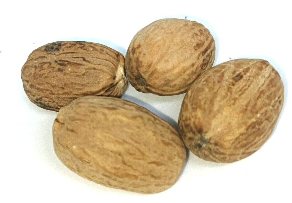 Myristica fragrans / Nutmeg seeds - Biji Pala "500gr" | eBay