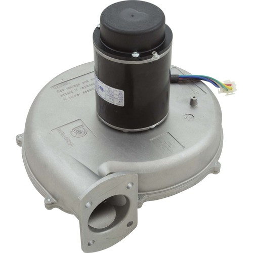 Blower Kit, Pentair MasterTemp 250, LP : 460744 788379726676| eBay