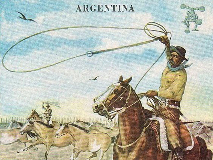 Rawhide Leather Braided Ranch Rope Lariat Lasso Reata. 4,6,8Strings ...