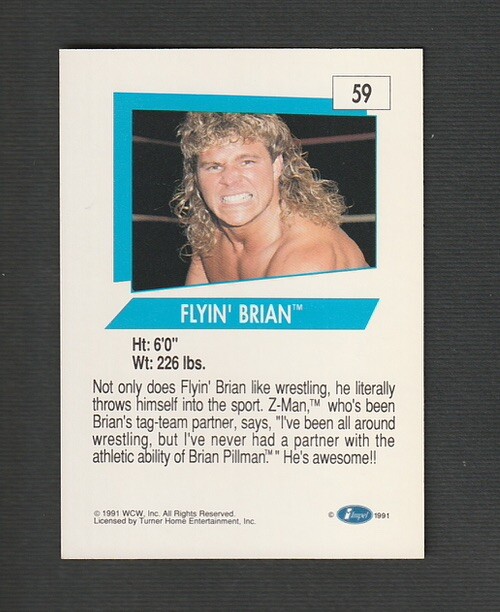 1991 Impel WCW Flyin' Brian #59 | eBay