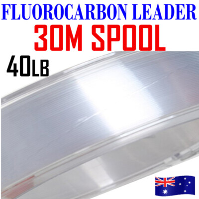 40lb FC Fluorocarbon Leader 30m Fishing Line for Daiwa Shimano Braid ...