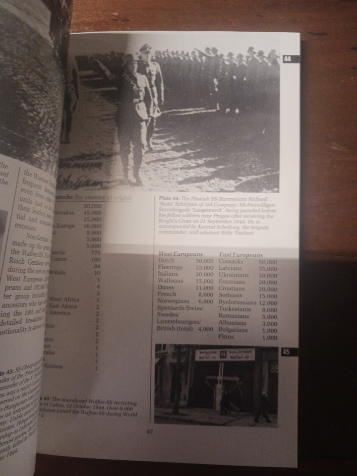 A Collector's Guide to the Waffen-SS Robin Lumsden 1995 SC Hippocren ...
