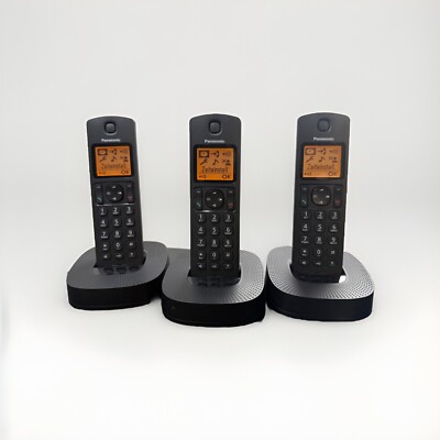 Kabelloses Telefon Panasonic KX-THC313 | eBay.de