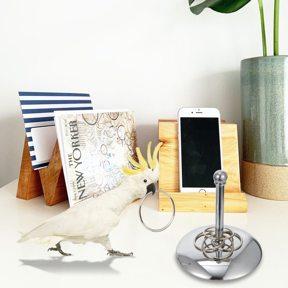 2pcs Bird Toys Bird Trick Tabletop Toys Bird Training Props Set | eBay UK