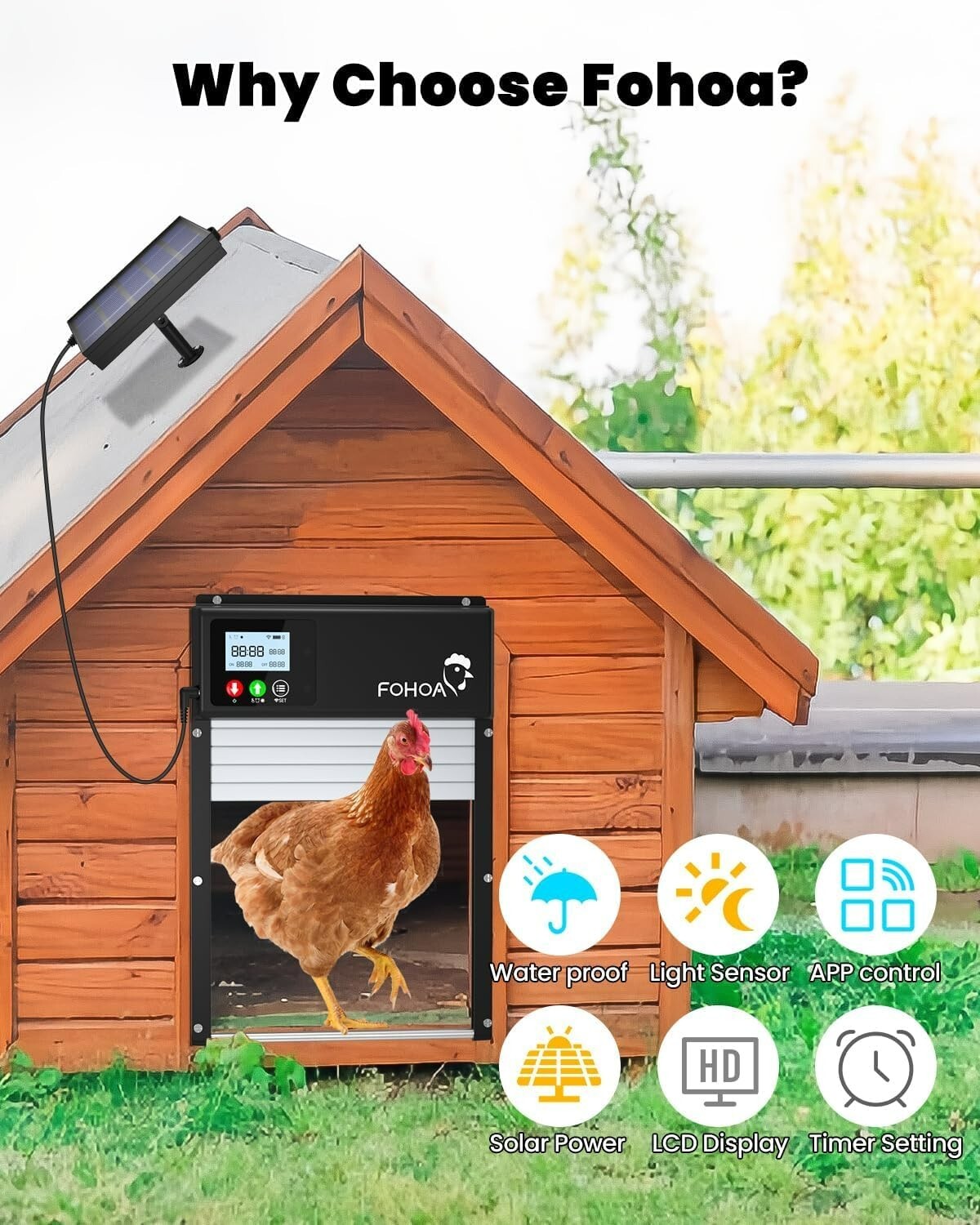 Wifi Remote control Automatic Chicken Coop Door, 2024 Upgraded Solar ...