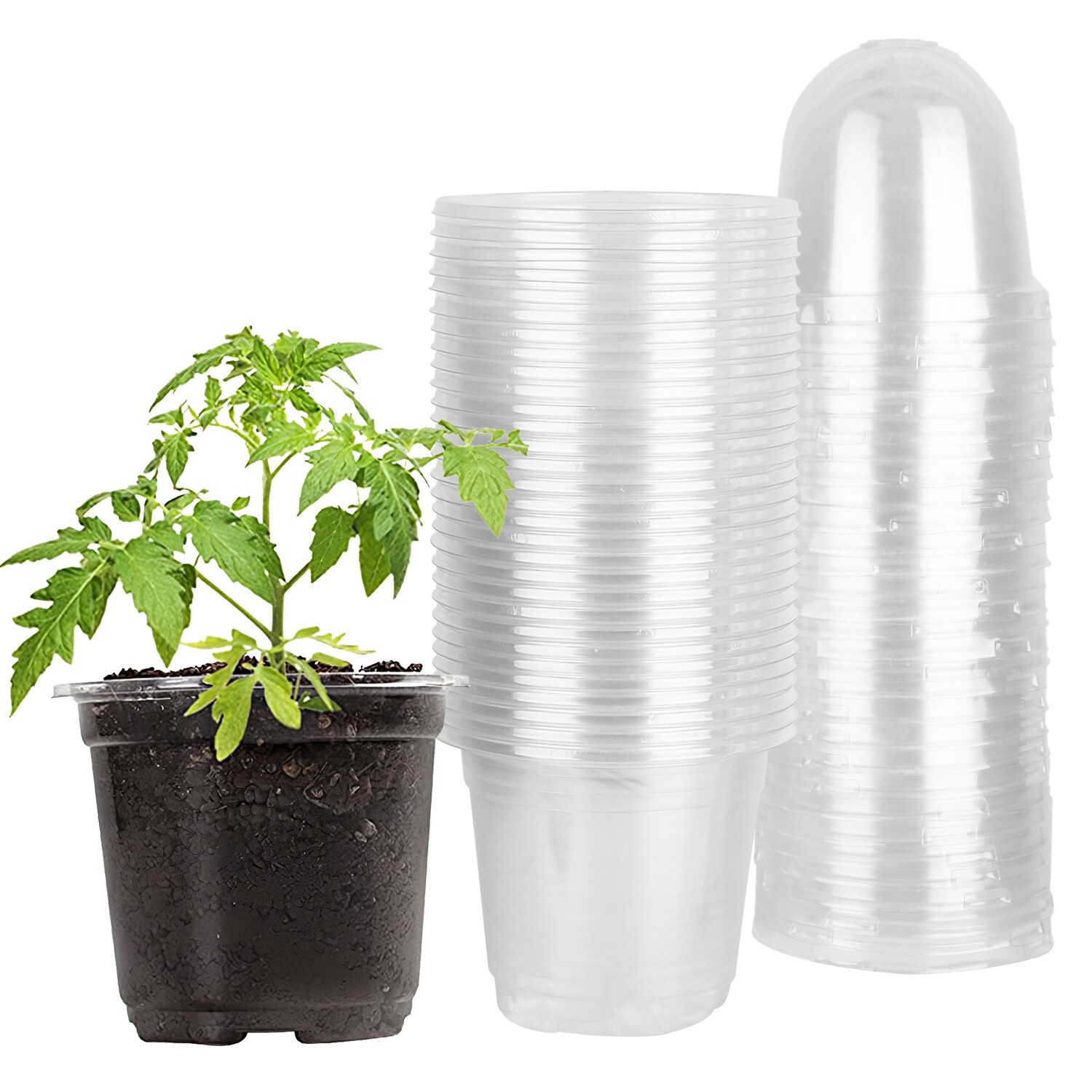 30 PC Premium Clear Plastic Nursery Plant Container Garden Planter Pot ...