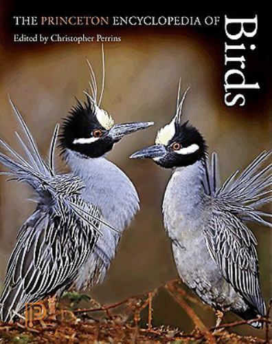 The Princeton Encyclopedia of Birds 9780691140704 | eBay