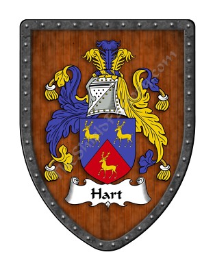 Hart II Family Custom Crest Coat of Arms Hanging Shield SH503P-DG-HG | eBay