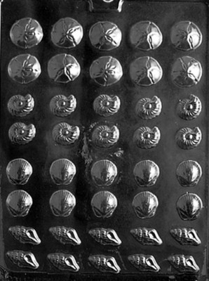 SHELLS MINI BEACH WEDDING CANDY MOLD DIY PARTY FAVORS PARTY (40 ...