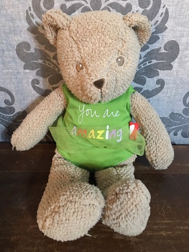 The Message Bear Plush You Are Amazing Green Tutu Teddy Stuffed Animal ...