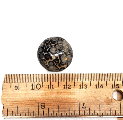 Green Leopard Skin Jasper from Mexico, 4g. 23 x 7 mm. | eBay