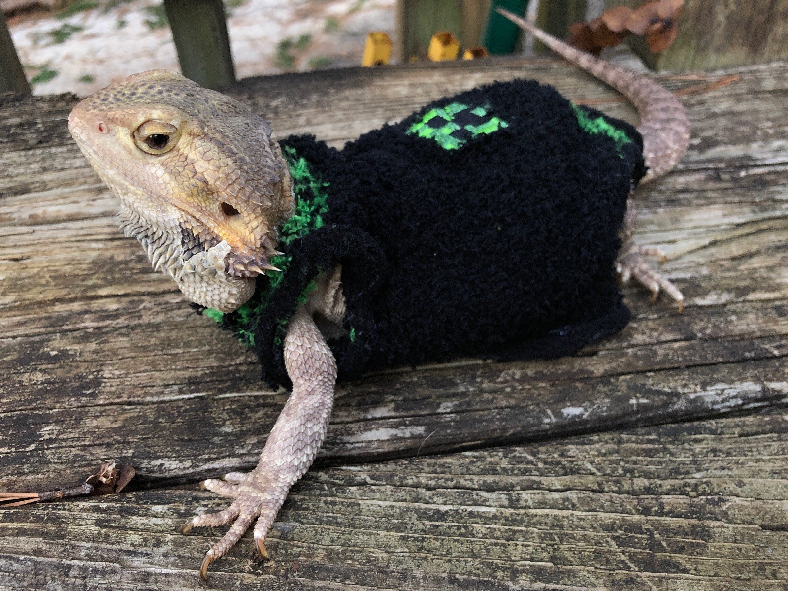 MINECRAFT PRINTS SNUG XLRG SLEEVELESS BODY SHIRT 4 UNISEX BEARDED ...