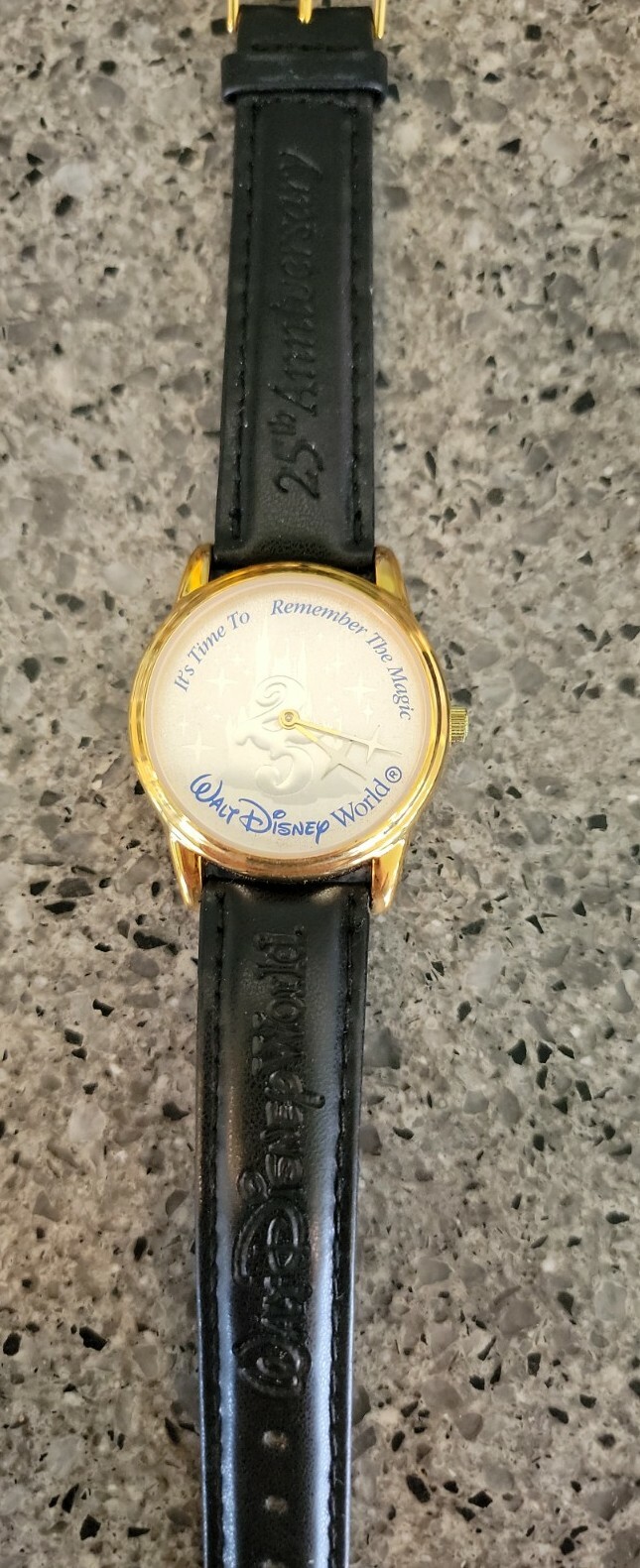 Walt Disney World WDW 25th Anniversary Watch Kodak Promo Remember the ...