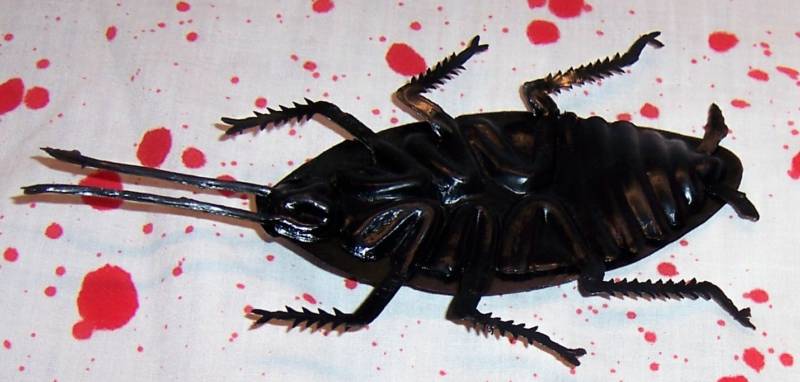 Lot of 12 Jumbo Cockroach Halloween Prop Insects Bugs Decor Joke Party ...