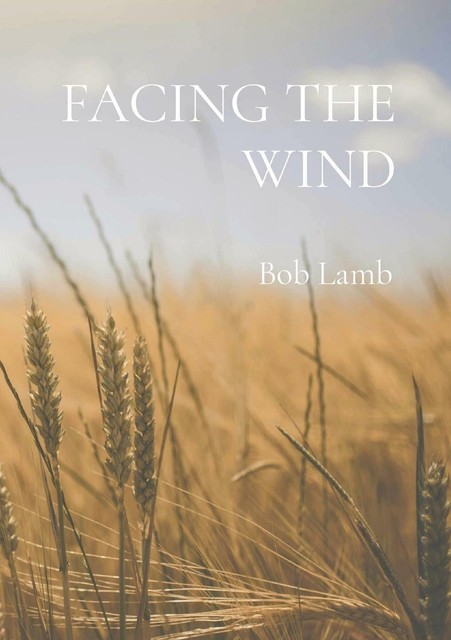 FACING THE WIND von Bob Lamb (2020, Taschenbuch) online kaufen | eBay.de