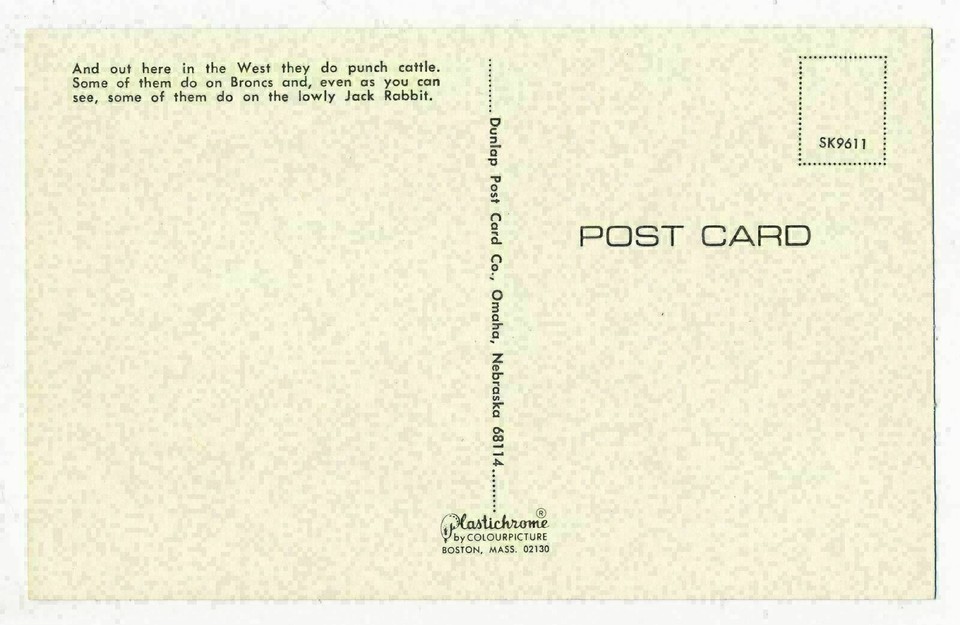 Punching Cattle on a Jack Rabbit! Howdy from Nebraska - Exaggeration ...