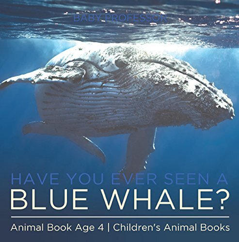 Baby Professor Have You Ever Seen A Blue Whale? Animal Book (UK IMPORT ...