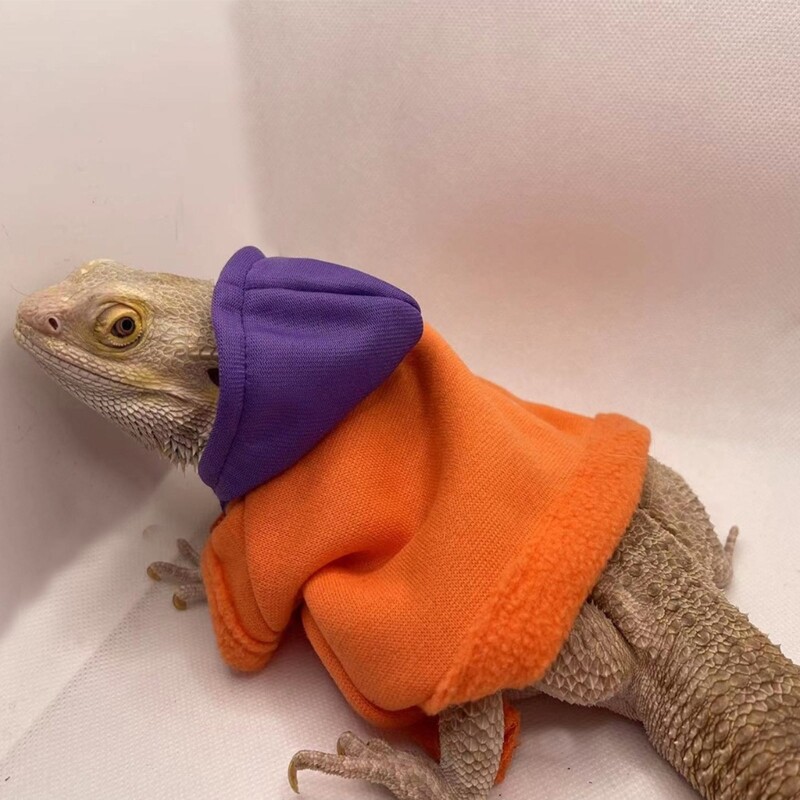 Lizards Clothes for Bearded Dragon Geckos Reptiles Apparel Hand-made ...