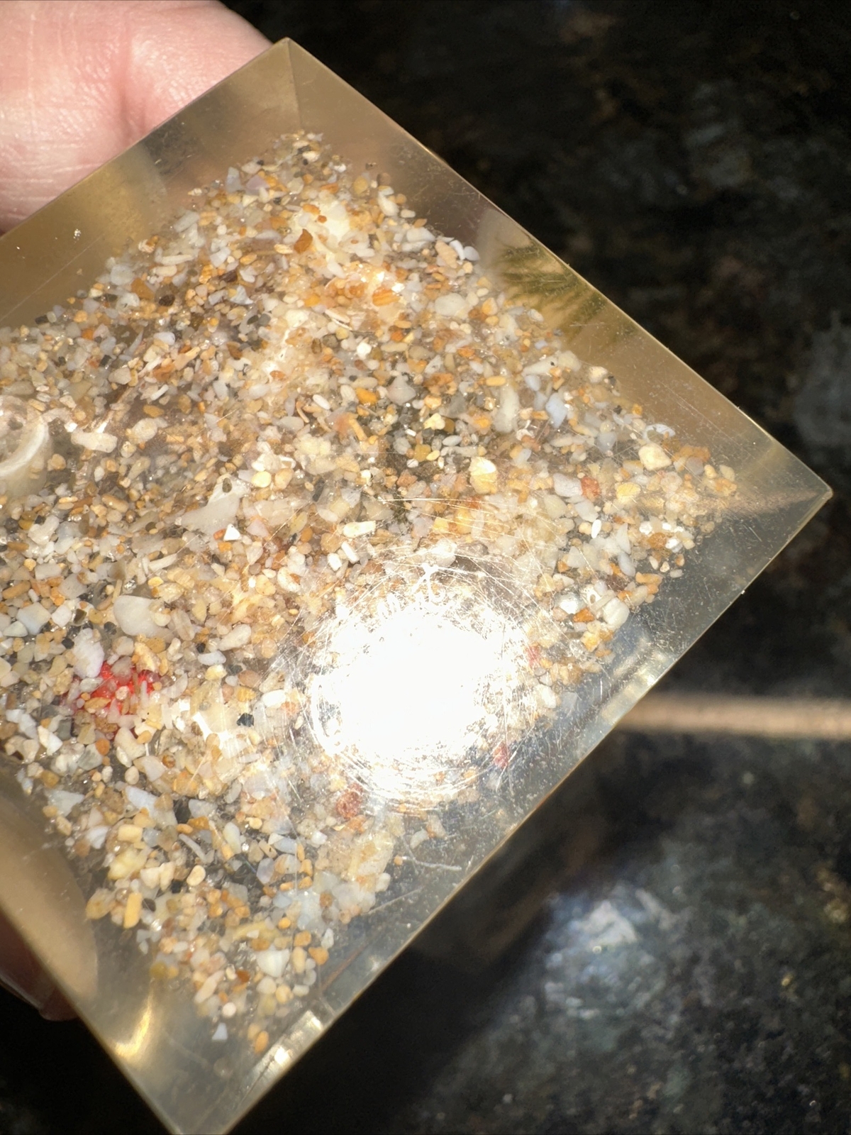 Vintage Clearfloat Seascape Coral Shell Embedded Lucite Table Lighter ...