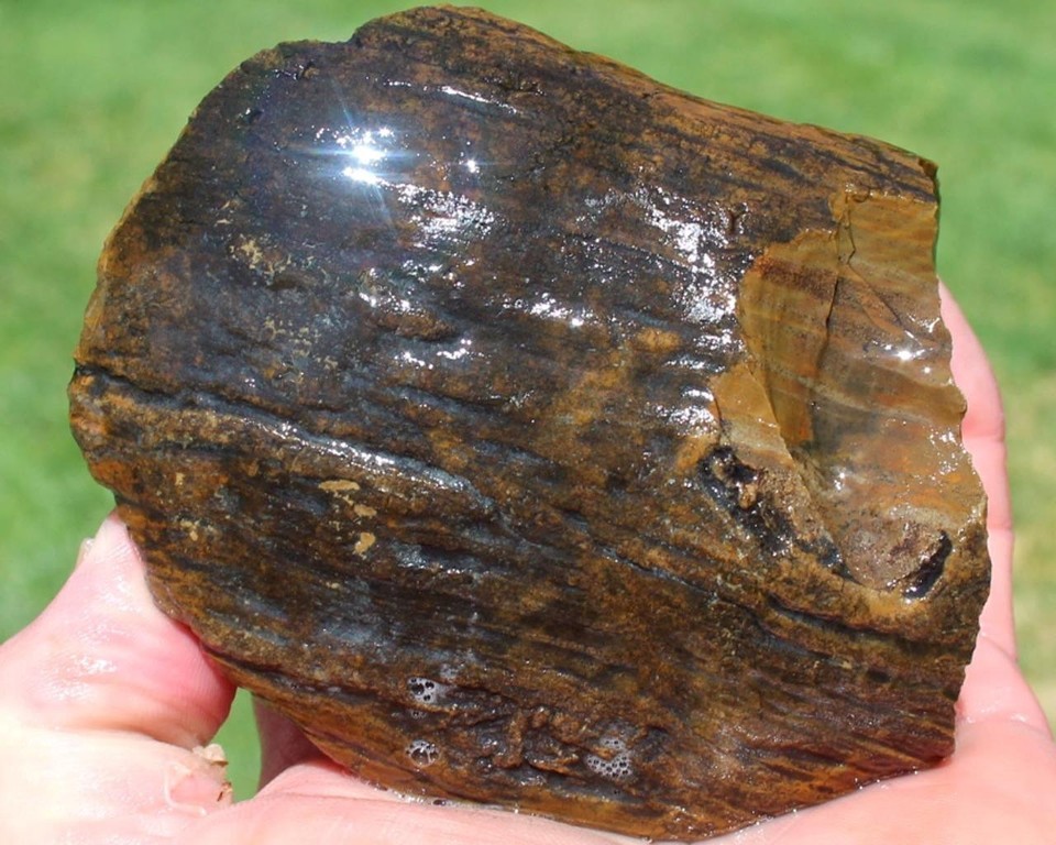 "NEW FIND" UNKNOWN WYOMING ROCK 330 Gram jasper/agate/rock/specimen ...