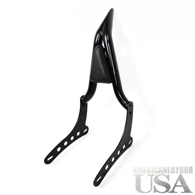 2020-2022 BMW R18B Dreammaker 1.5" Passenger Sissy Bar Backrest For ...