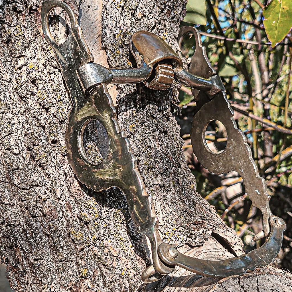 Rare Visalia Humane Marked Santa Barbara Cheek Stainless Steel Salinas ...
