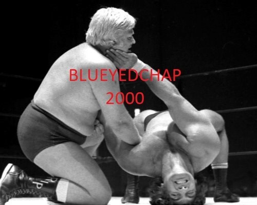 RIP HAWK VS DON MURACO WRESTLER 8 X 10 WRESTLING PHOTO NWA | eBay