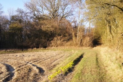 Photo 6x4 Field corner - Wych Hazel Copse Newfound c2013 | eBay UK