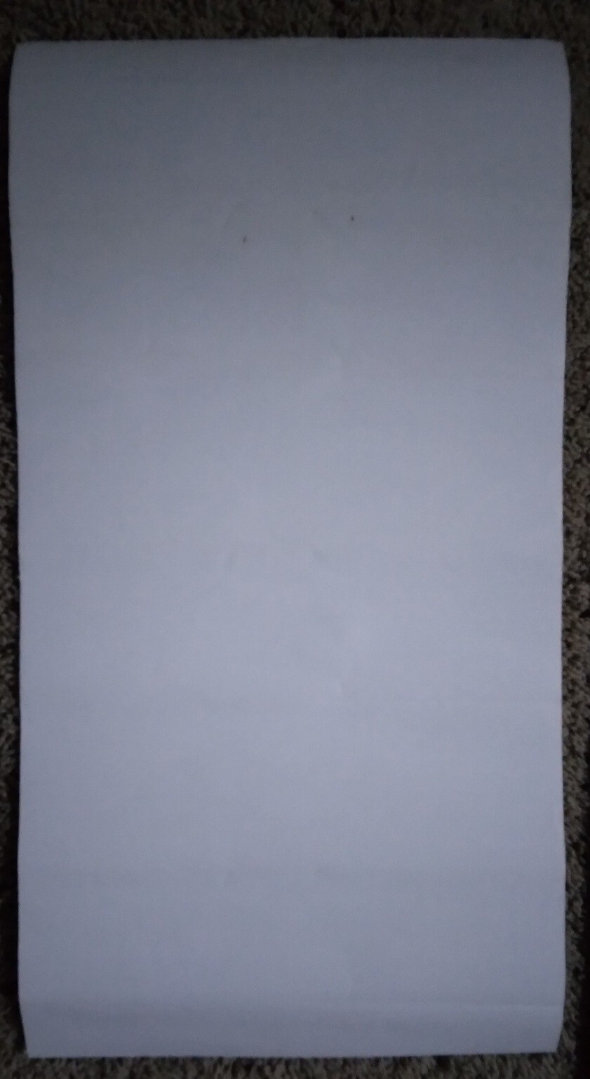 Penn State Original 1982 National Champions Team Poster, PSU Nittany ...