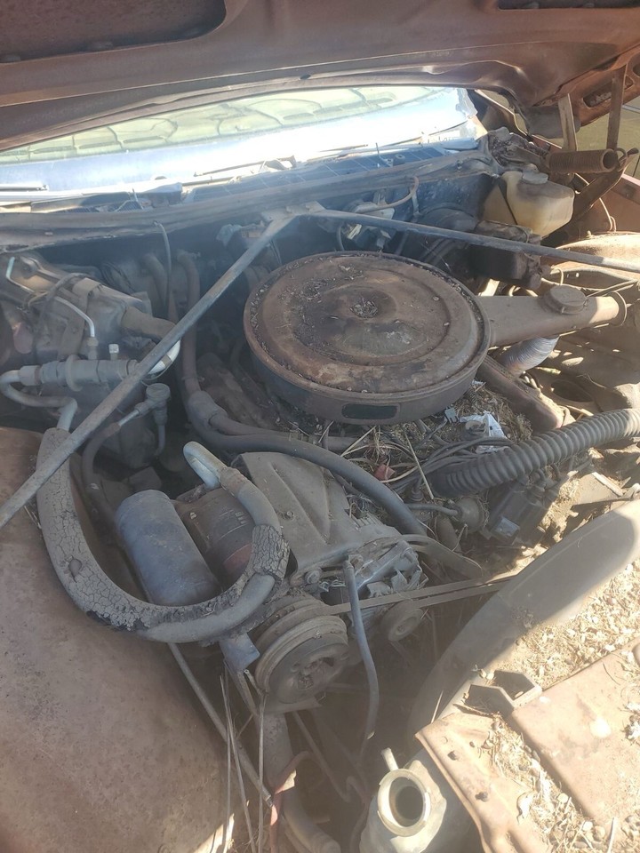 1972 BUICK CENTURION HOOD | eBay