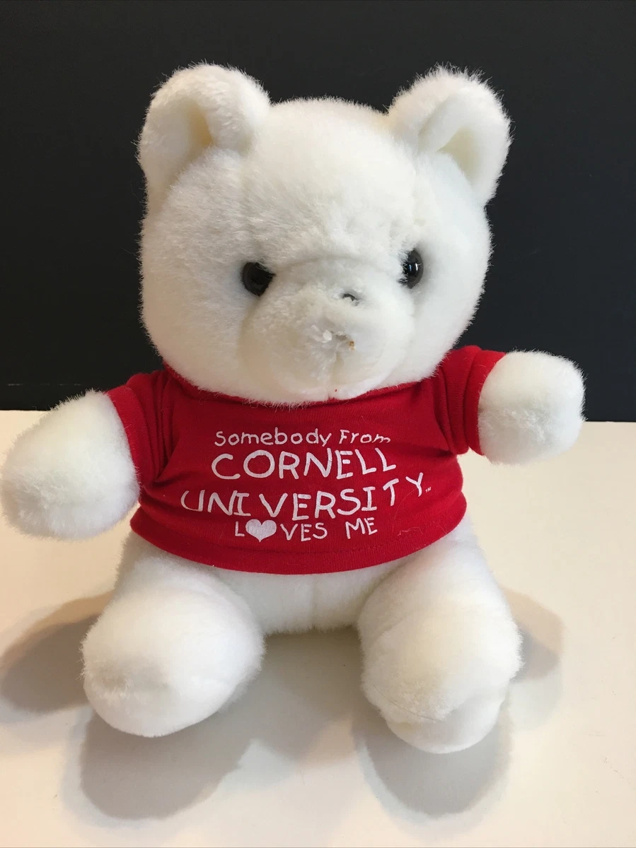Cornell University Bear