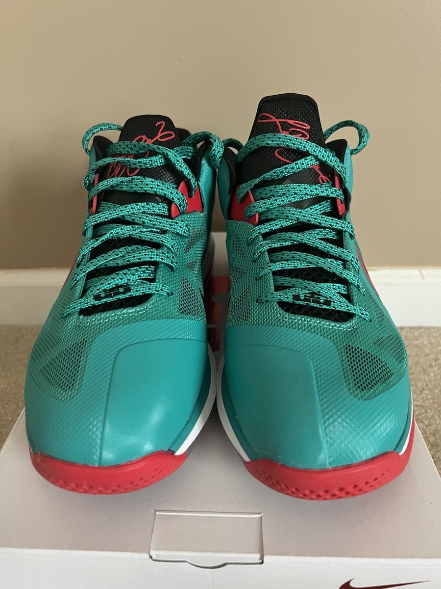 Lebron James Shoes 9 Low