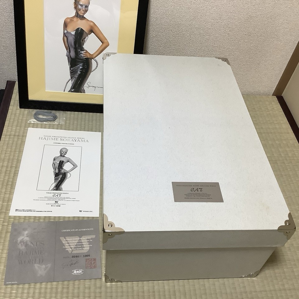 CAT Hajime Sorayama Volks 1/4 Fully painted Figure Framed Printed Art ...