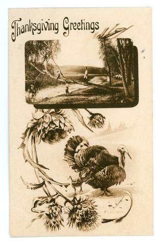 Thanksgiving Day Pilgram Turkey Forest Rabbit Hunting Greetings ...