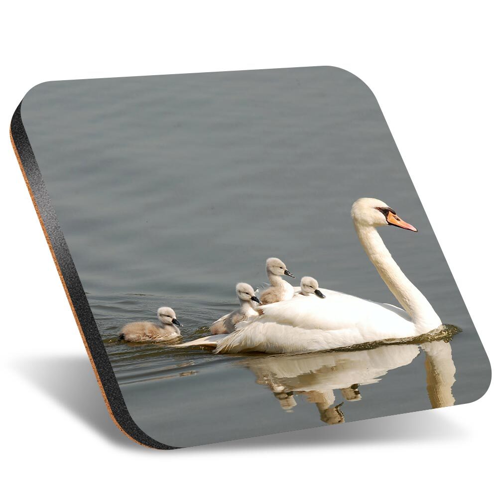 1x Square Coaster 12cm Baby Swan Cute Birds #50170 | eBay UK