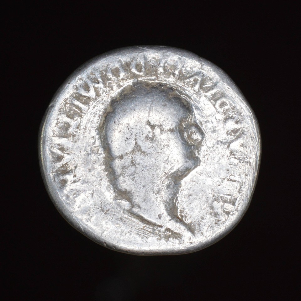 Roman Silver Coin -- Domitian Denarius | eBay