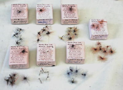 Flies - Fly Display