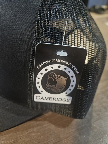 Pitbull Cambridge - Lean Queen 6.7 Hat - PB 225 - Black Purple Cap | eBay
