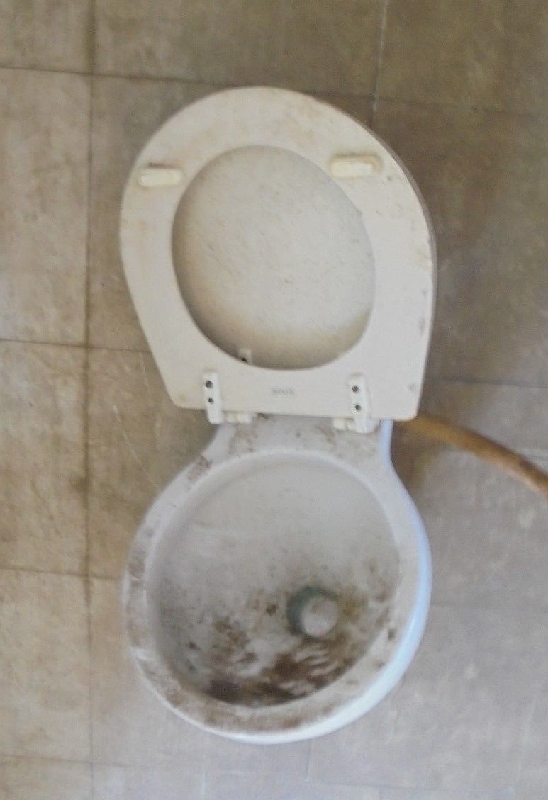 Wilcox Crittenden Vintage Toilet / Head Skipper TYPE 8 BOWEL ONLY | eBay