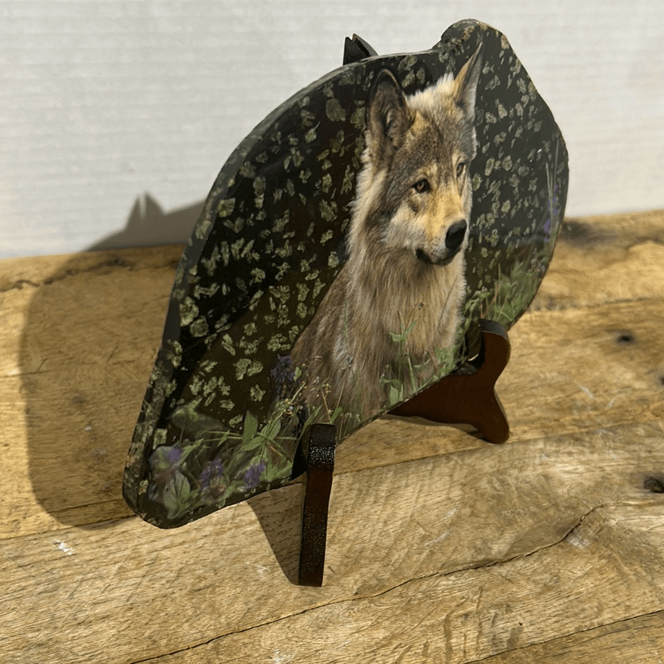 Orca mythical wolf print on stone nature lone wolf lavender home decor ...