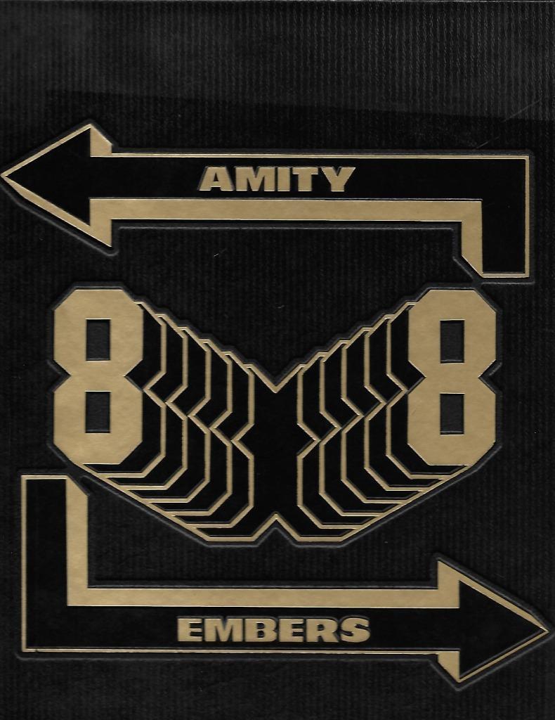 Amity High School Logo