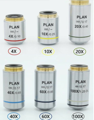 Microscopes - Microscope 4X 10X 40X 100X