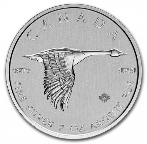 2oz Silver Royal Canadian Mint 2020 Goose Coin - 3 x Capsuled Coins | eBay
