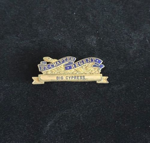 Daughters Of The American Revolution DAR Ex-Chapter FL Regent Pin, Gold ...