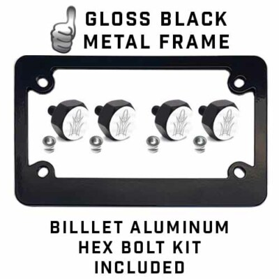 Black Metal License Plate Frame & Hex Tag Bolt Kit - GREY PINSTRIPE ON ...