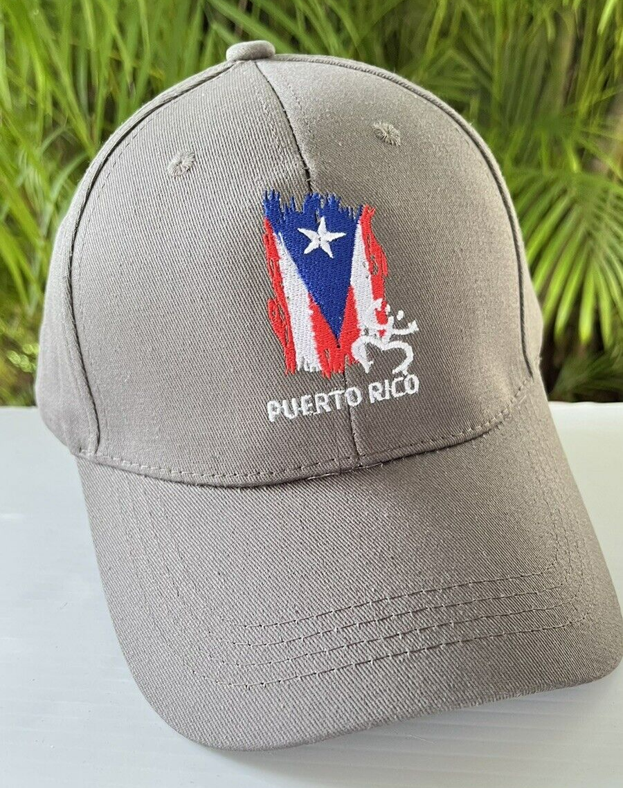 PUERTO RICO FLAG COQUI TAINO EMBROIDERY ARMY CAP HAT UNISEX 1 size ...