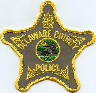 DELAWARE COUNTY INDIANA IN POLICE PATCH | eBay