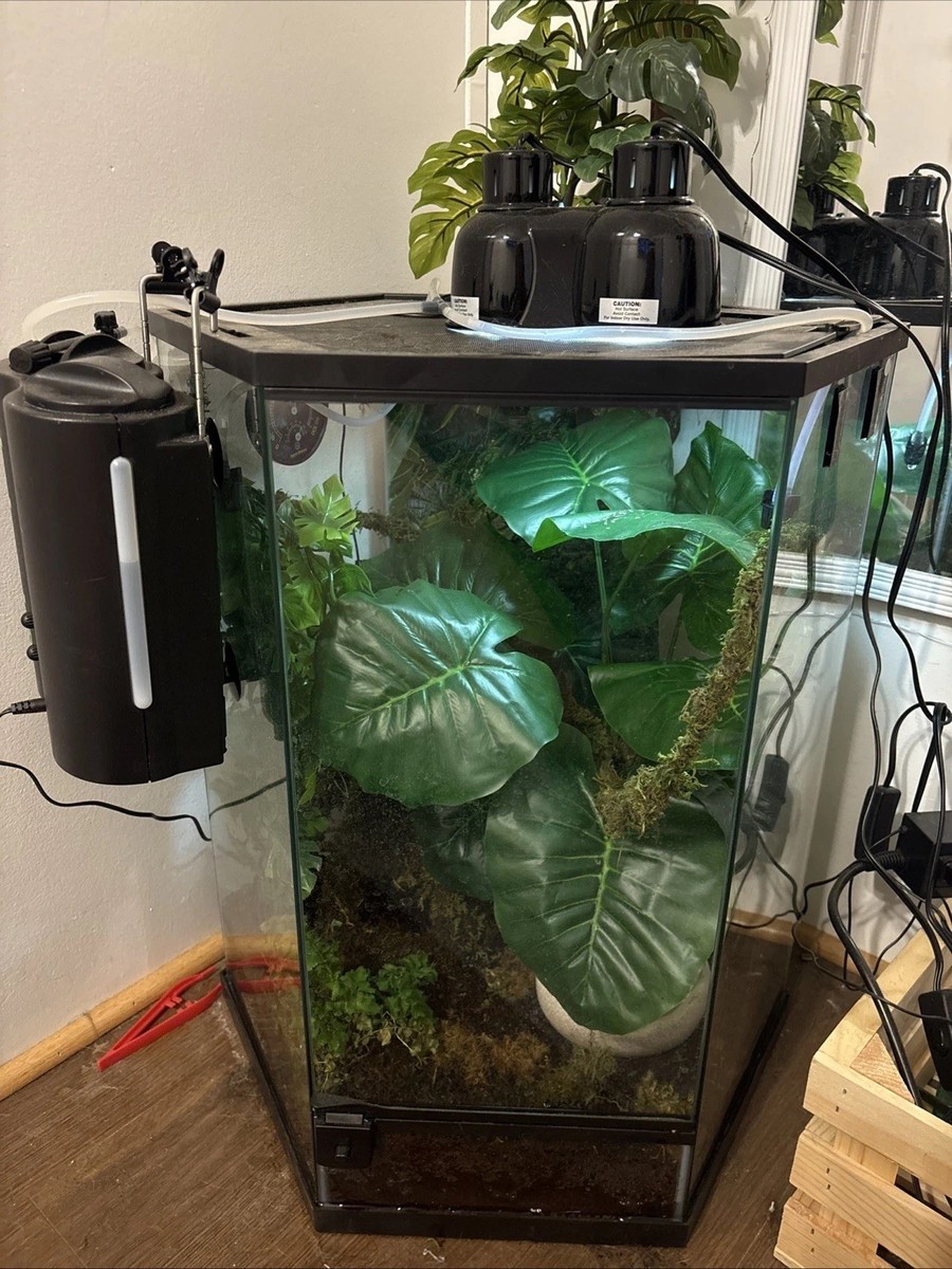 Tropical Terrarium Setup How To Create A Waterfall In Your Vivarium