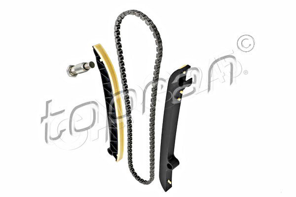 Timing Chain Kit For SKODA VW SEAT AUDI Fabia II Octavia Roomster Xl ...